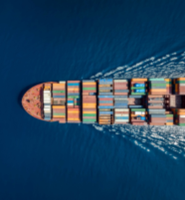 Container report - Week 26